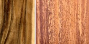 Acacia Wood – Characteristics, Uses with Pros and Cons